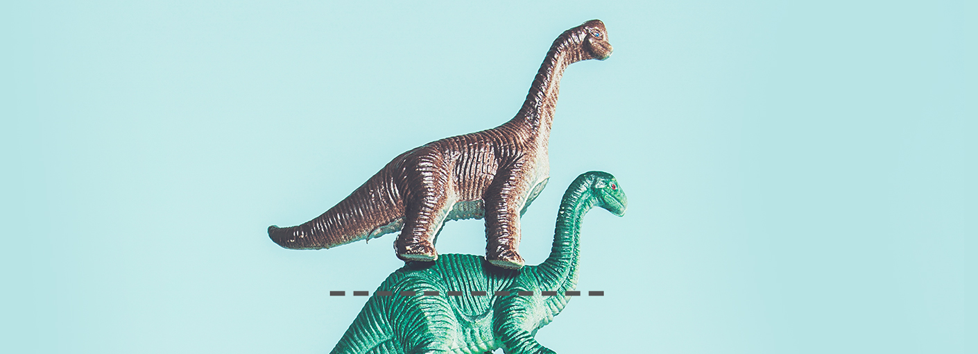 Venture further with David | Buddle Findlay