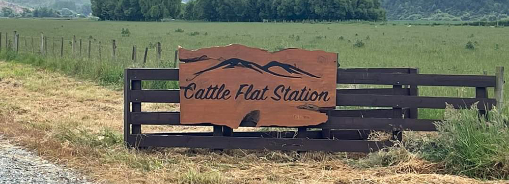 Buddle Findlay is proud to support native restoration project | Buddle ...