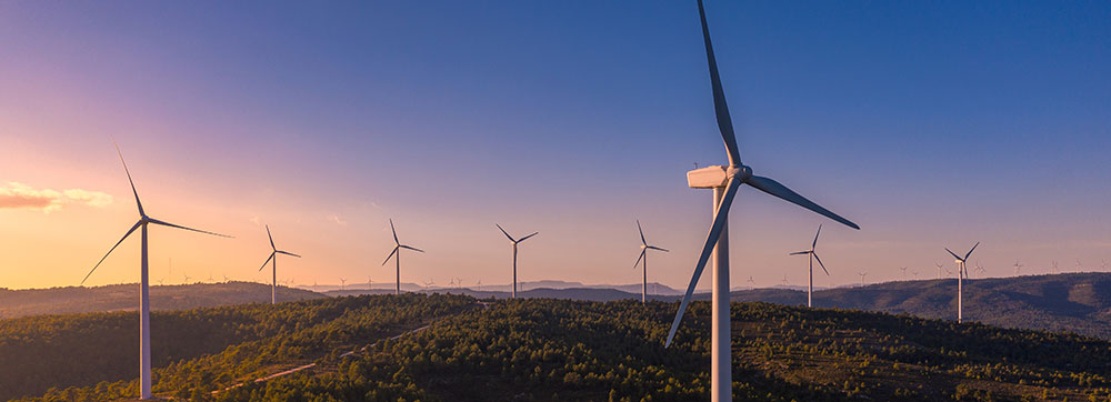 Fast-track Approvals Bill - Select Committee report