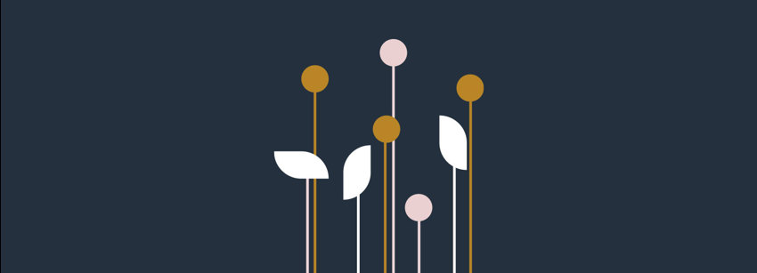 Buddle Findlay appoints three new senior associates | Buddle Findlay